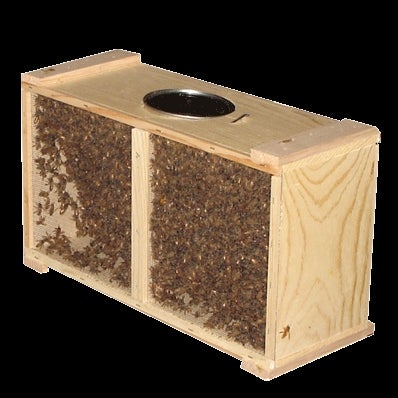 Italian 3-pound Package | Les's Bees